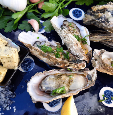 Fresh Oysters | Live Mahurangi Oysters Delivered To Your Door