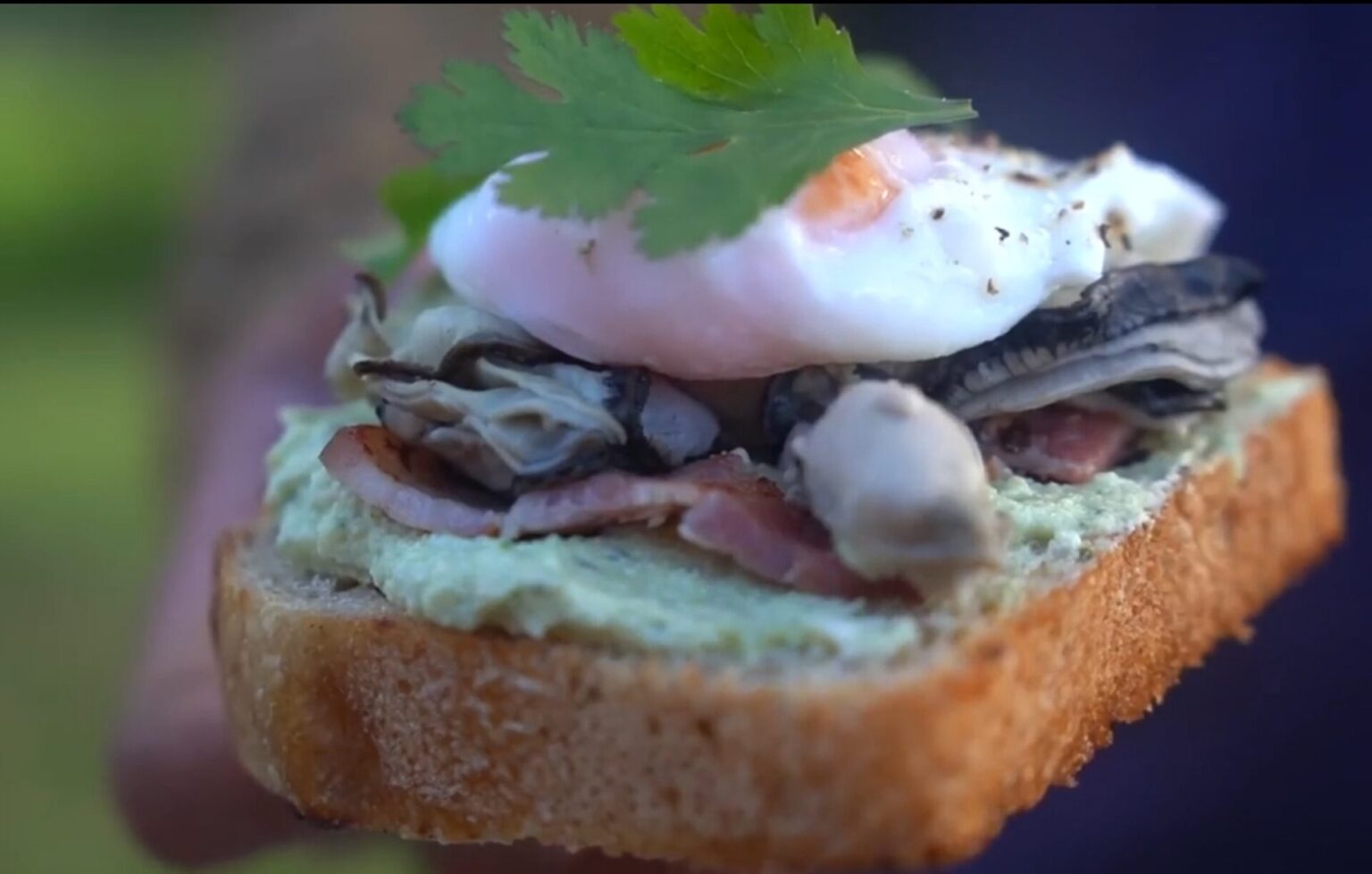 Poached Oysters - Outdoor Chef Life's Mahurangi Oyster Buttie